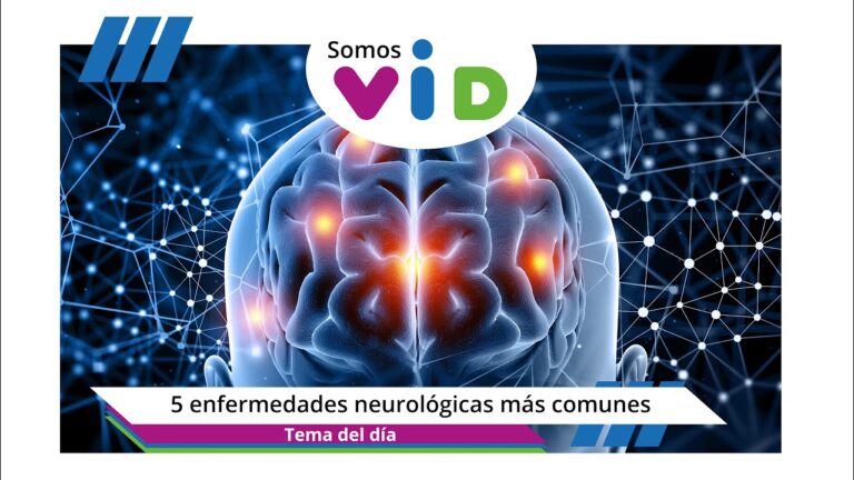 5 Enfermedades del Sistema Nervioso: Causas, Síntomas y Tratamiento ...