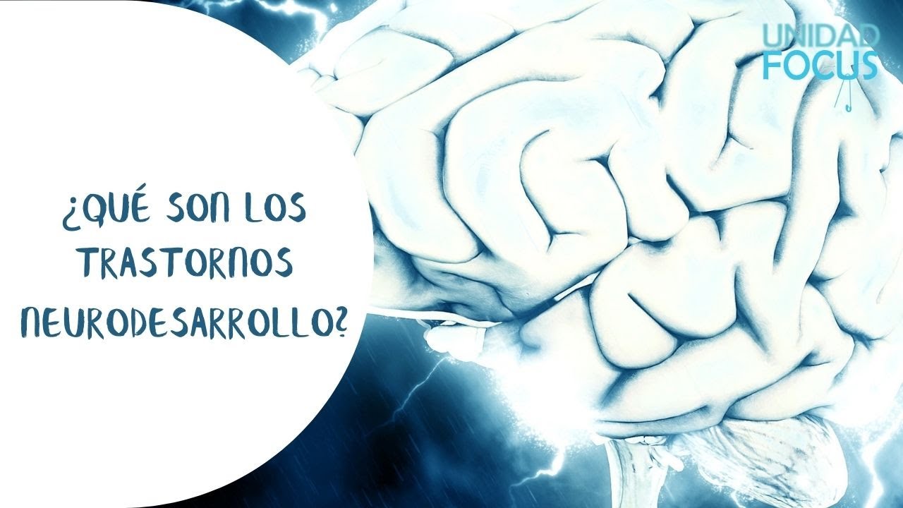 ¿Qué Son los Trastornos del Neurodesarrollo? Guía Completa y Síntomas - Psicolegis La Web ...