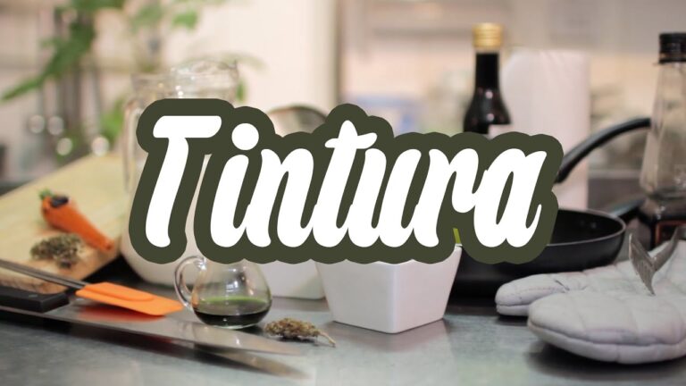 Tintura de Marihuana: ¿Para Qué Sirve y Cuáles Son Sus Beneficios ...