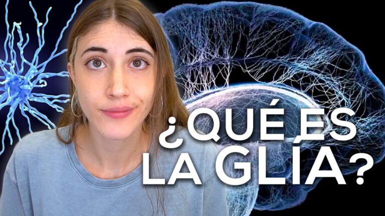 La Célula del Cerebro del Perro: Funciones, Importancia y Curiosidades ...