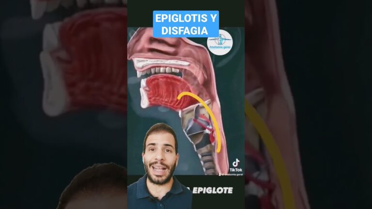 ¿Para Qué Sirve la Epiglotis? Funciones y Importancia en el Cuerpo ...