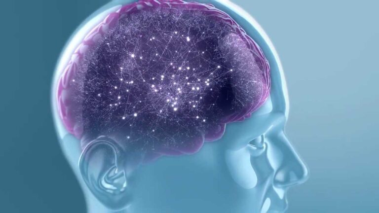 Cerebro de una Persona con TDAH: Entendiendo la Neurobiología del ...