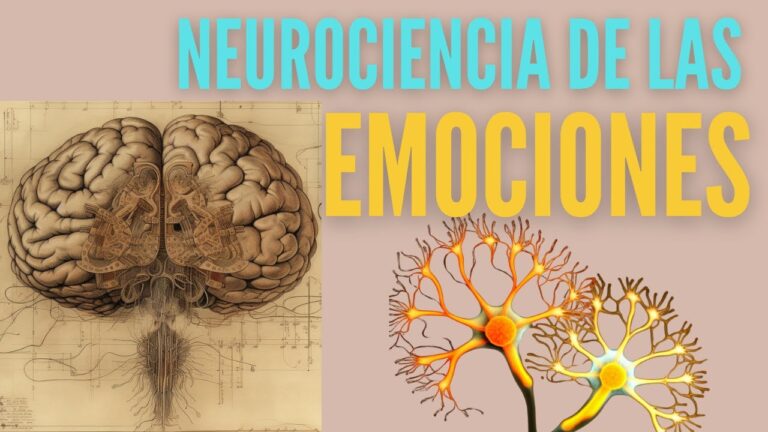 Cómo Funciona el Cerebro y las Emociones: Descubre la Ciencia Detrás de Tu Mente - Psicolegis La ...